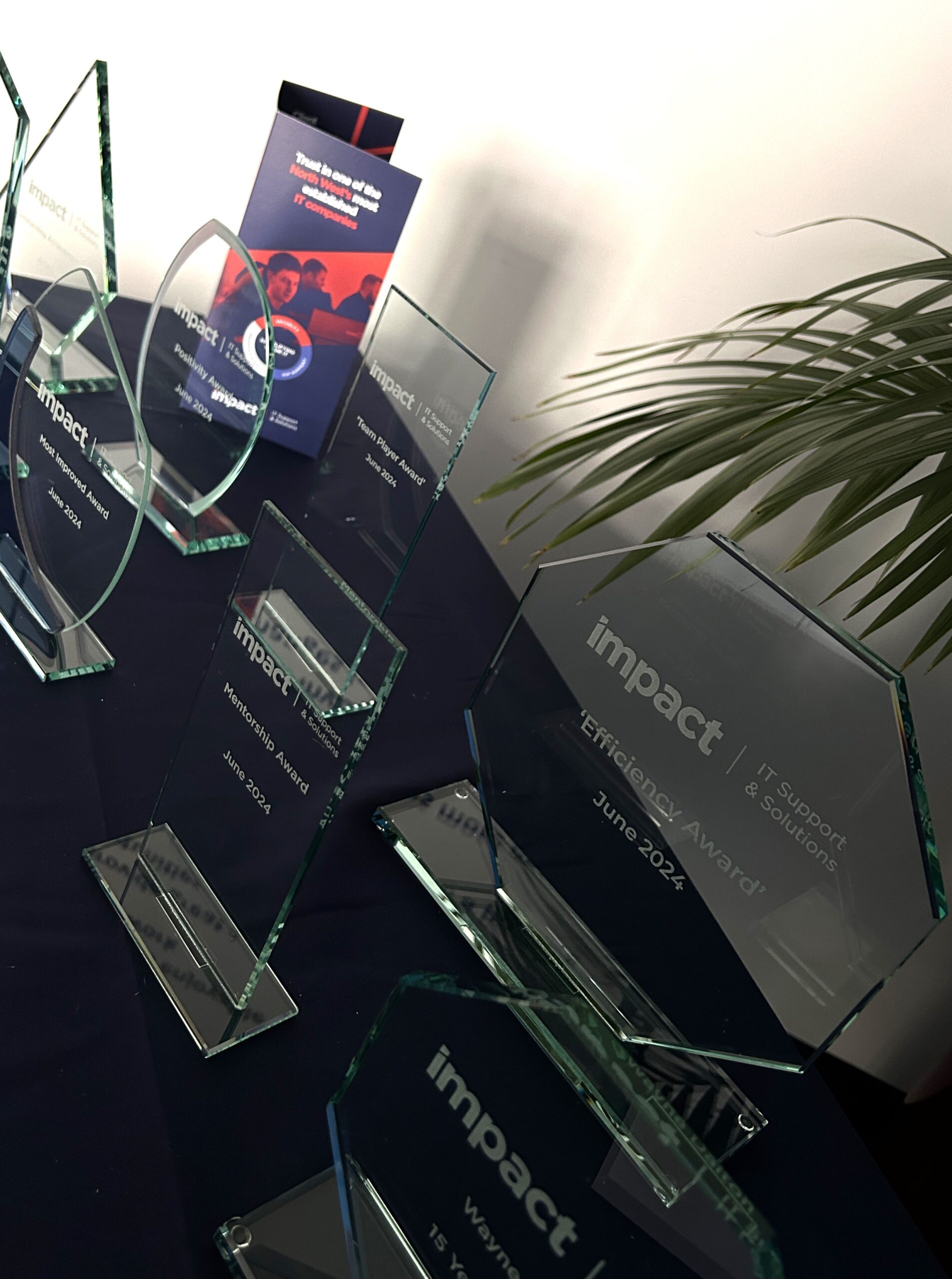 Celebrating Excellence at Our Annual Awards Ceremony